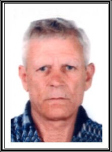 LUÍS VASCONCELOS MELIM Participação