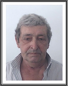 MANUEL LEONILDO VIVEIROS DOS SANTOS Participação